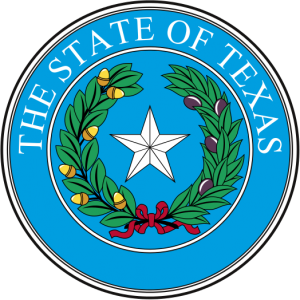 Texas Business Entity Search | Corporation | LLC