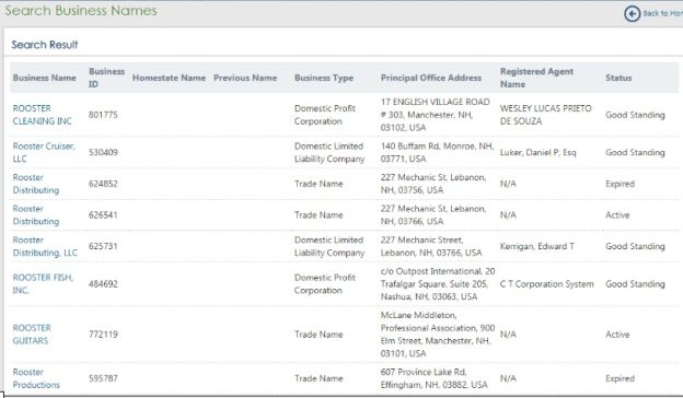 New Hampshire Business Entity Search | Corporation | LLC