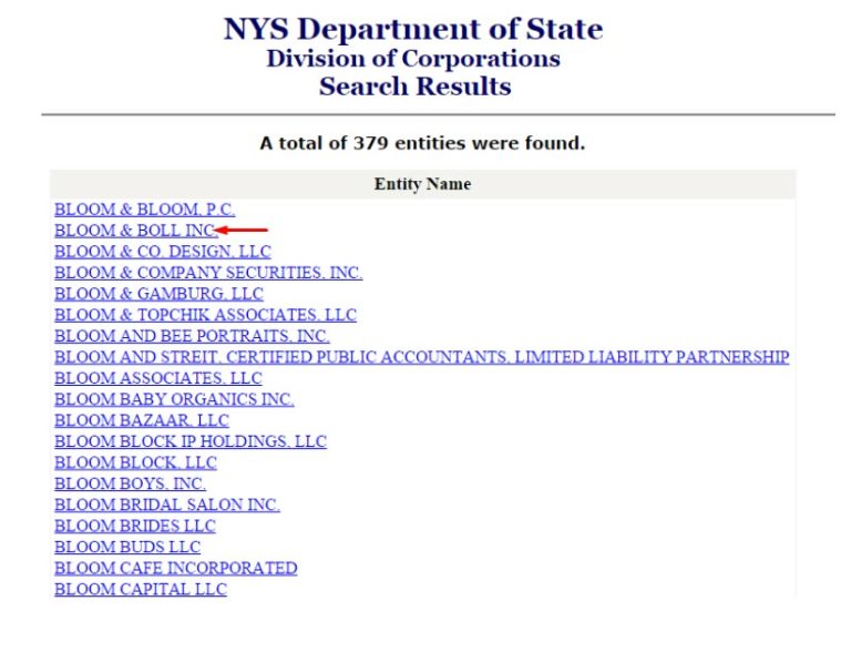 New York Business Entity Search | Corporation | LLC